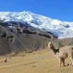Peru Stargazing Tour - Ayni Peru